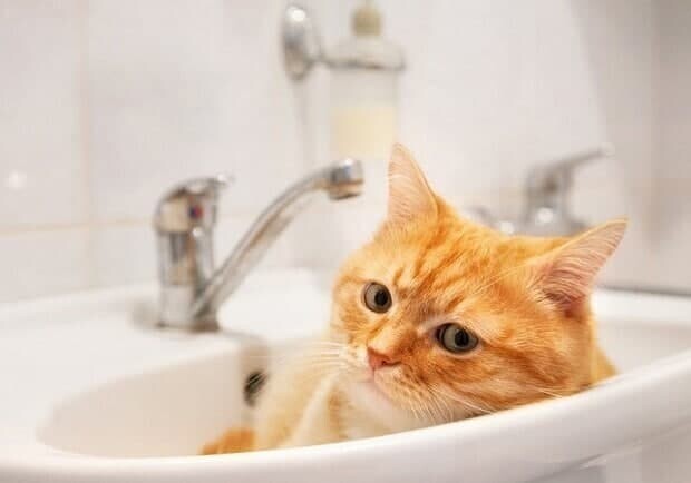 Где в Одессе отключат свет и воду 26 октября 2021 года: адреса - Одесса Vgorode.ua