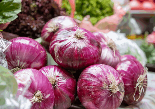 Продуктовые ярмарки в Киеве 15-18 февраля 2022: адреса - Киев Vgorode.ua