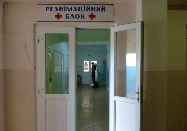 В Киевской области после отравления грибами умерли две сестры - Киев Vgorode.ua