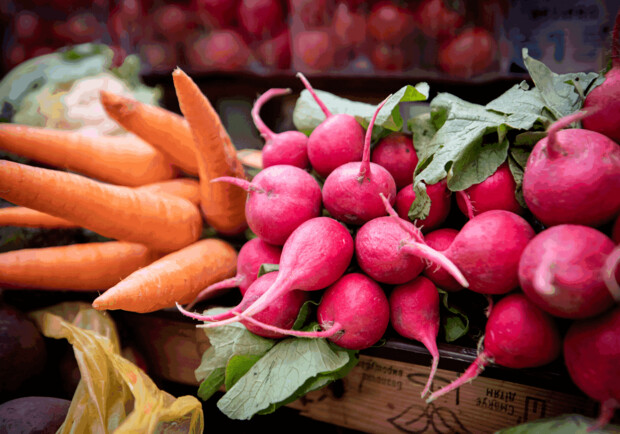 Продуктовые ярмарки в Киеве 24-25 сентября: адреса - Киев Vgorode.ua