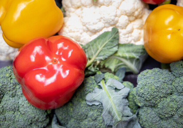 Продуктові ярмарки у Києві 15-16 жовтня: адреси - Київ Vgorode.ua