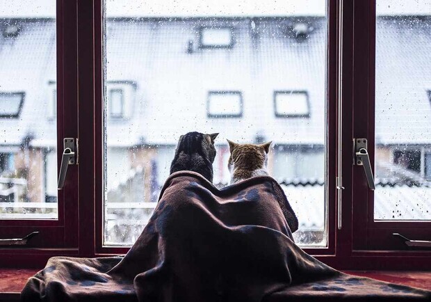 Чому може не працювати опалення, коли немає світла в Одесі - Одеса Vgorode.ua