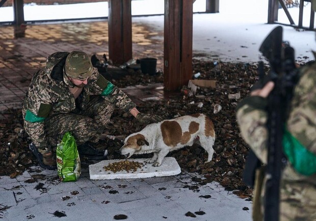 Карта бойових дій в Україні 8 березня 2023 року - Київ Vgorode.ua