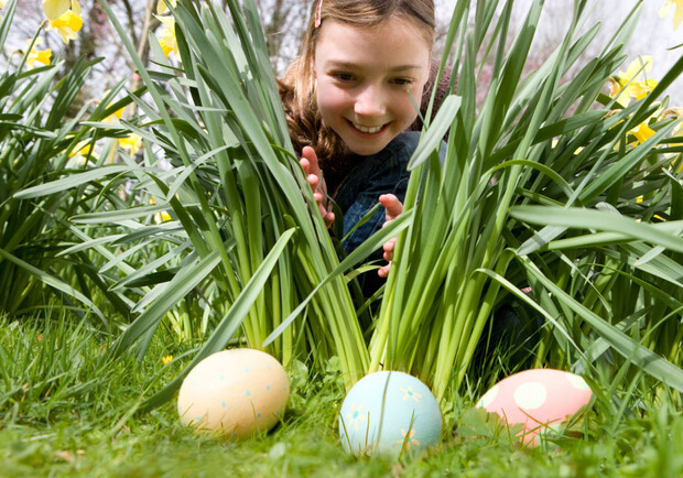Полювання за шоколадними яйцями! - Дітям Київ Vgorode.ua
