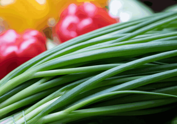 Продуктовые ярмарки в Киеве 25-28 апреля 2023: адреса - Киев Vgorode.ua