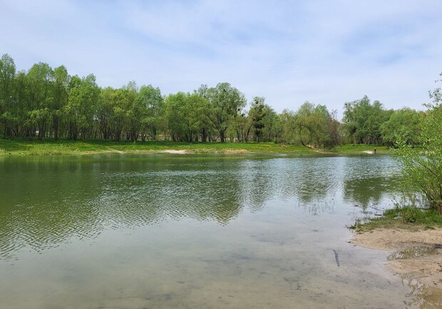 Незабаром розпочнеться розчищення озера Синього на Виноградарі - Київ Vgorode.ua