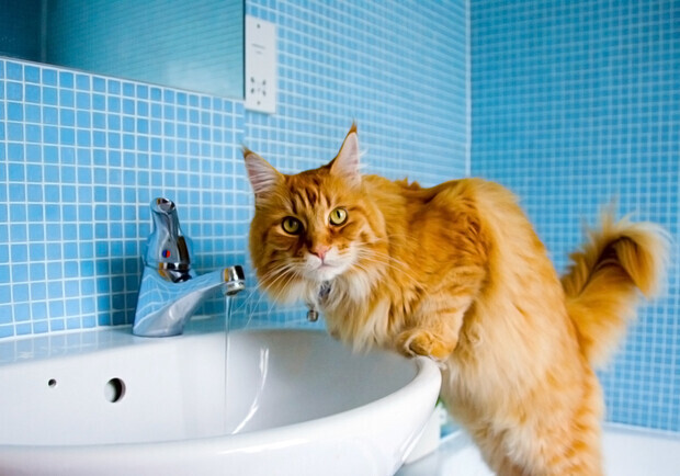 2 червня 2023 року багато одесити залишаться без води - Одеса Vgorode.ua