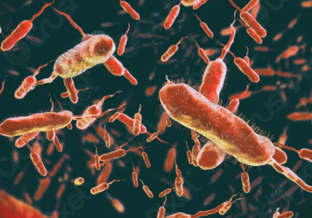 Одесские медики рассказали о том, грозит ли Одессе холера 9 июня 2023 года - Одесса Vgorode.ua