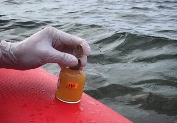 Свіжий моніторинг води в Одесі: що відомо на 8 липня 2023 року - Одеса Vgorode.ua