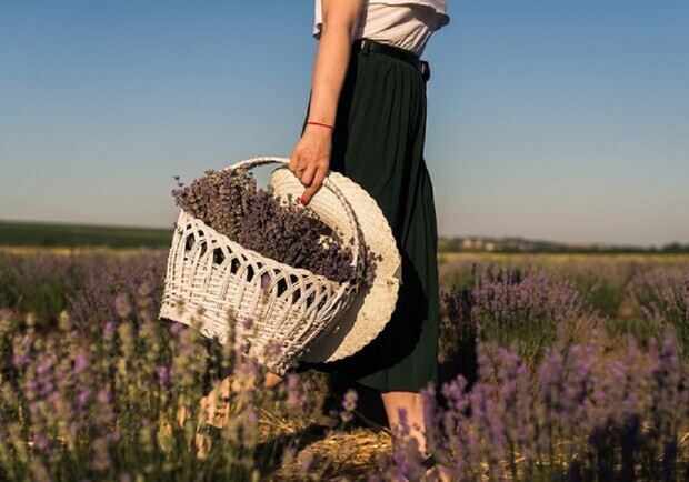 STING, ELTON JOHN, THE BEATLES У ВИКОНАННІ ОРКЕСТРУ - Концерти Київ Vgorode.ua