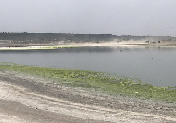 На Одещині висихає Хаджибейський лиман - Одеса Vgorode.ua