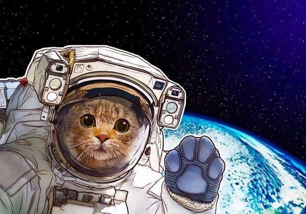 Інтернет для дому: як вигідно підключити у Львові? - Львів Vgorode.ua