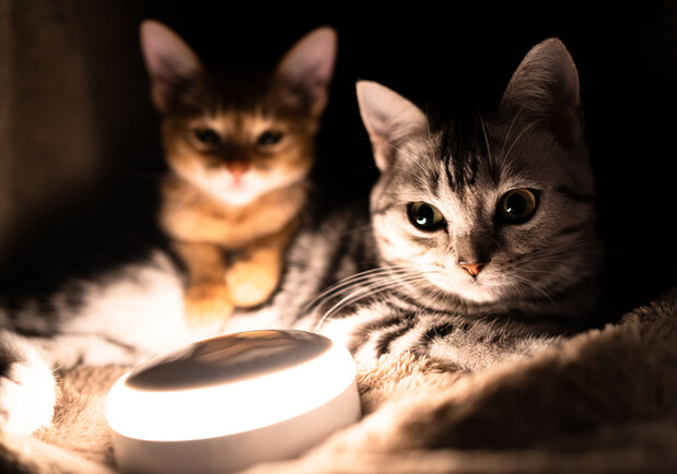 Де у Дніпрі не буде світла 18 вересня 2023 року: адреси - Дніпро Vgorode.ua