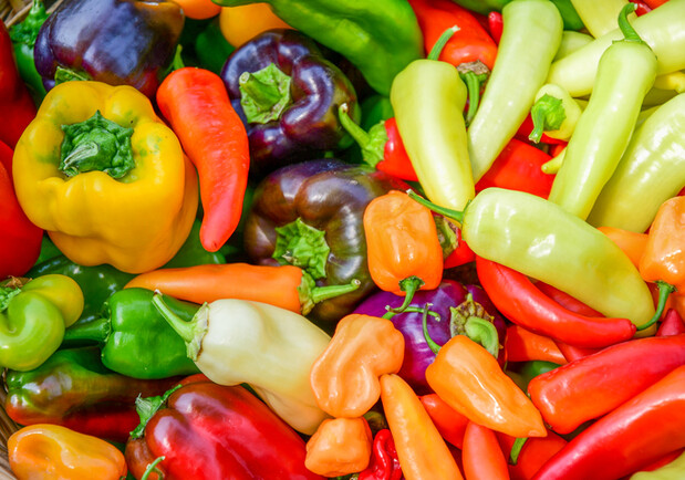 Продуктовые ярмарки в Киеве с 30 сентября по 1 октября: адреса - Киев Vgorode.ua