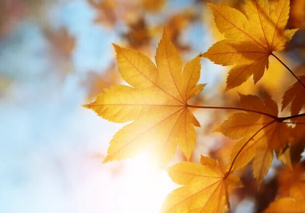 Прогноз погоди у Києві на тиждень 2-8 жовтня 2023 року - Київ Vgorode.ua