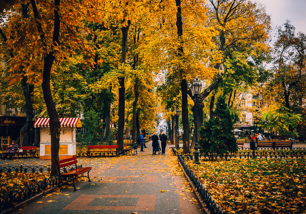 Куда пойти в Одессе с 3 по 5 ноября 2023 года (афиша мероприятий) - Одесса Vgorode.ua