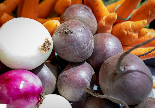 Продуктові ярмарки в Києві 7-10 листопада 2023 року: адреси - Київ Vgorode.ua