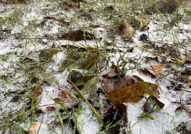 Какая погода будет в Одессе на неделе с 20 по 24 ноября 2023 года - Одесса Vgorode.ua