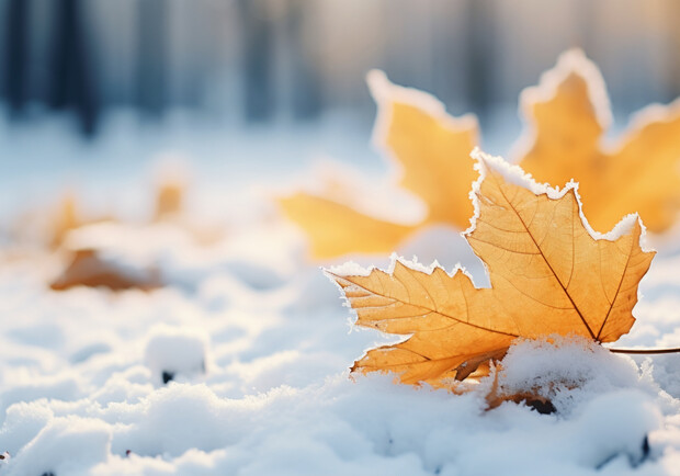 Зима близько: у Дніпрі прогнозують перший сніг - Дніпро Vgorode.ua