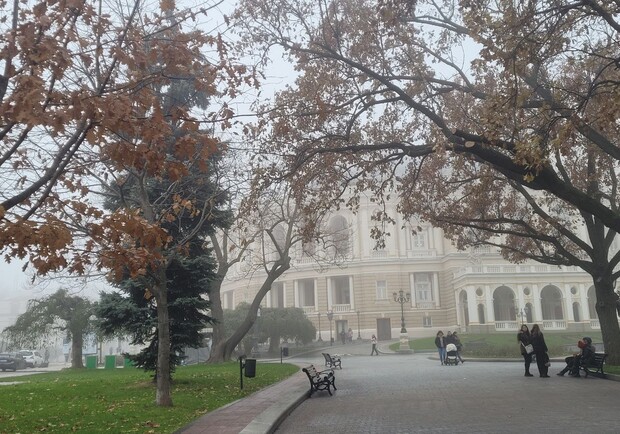 Яка погода буде в Одесі на тижні з 11 по 15 грудня 2023 року - Одеса Vgorode.ua