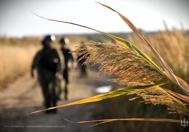 Как прошла ночь с 10 на 11 января 2024 года в Одессе и Одесской области - Одесса Vgorode.ua
