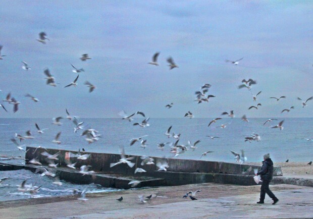 Куда бесплатно пойти в Одессе 24 и 25 февраля 2024 года - Одесса Vgorode.ua