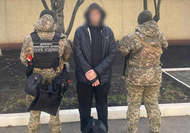 В Одесской области стая волков загнала на дерево уклониста - Одесса Vgorode.ua