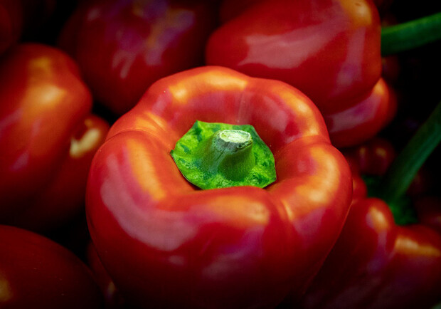 Продуктові ярмарки у Києві 4-5 травня: адреси - Київ Vgorode.ua