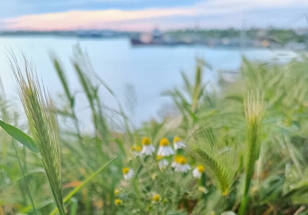 Прогноз погоды в Одессе на 11 и 12 апреля 2024 года - Одесса Vgorode.ua