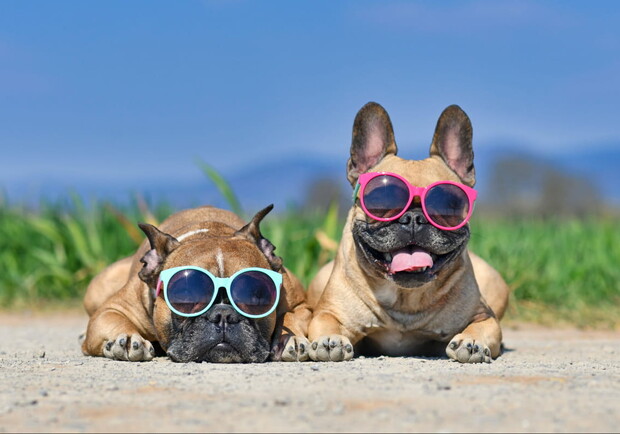 Диван подождет: куда пойти в Днепре 25 – 30 июня 2024 года - Днепр Vgorode.ua