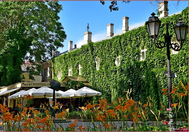 Куда бесплатно пойти в Одессе 29 и 30 июня 2024 года - Одесса Vgorode.ua