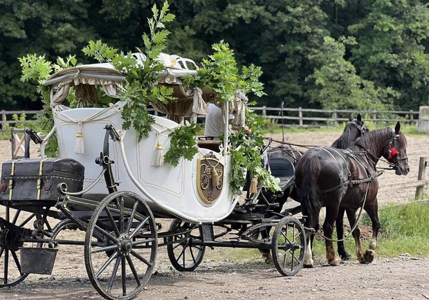 Кінна прогулянка в Каретному дворі - Спорт Львів Vgorode.ua