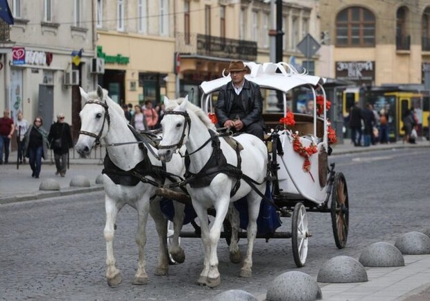 У центрі Львова заборонили використання кінних карет - Львів Vgorode.ua