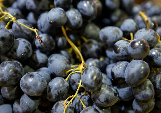 Продуктовые ярмарки в Киеве 28-29 сентября: адреса - Киев Vgorode.ua