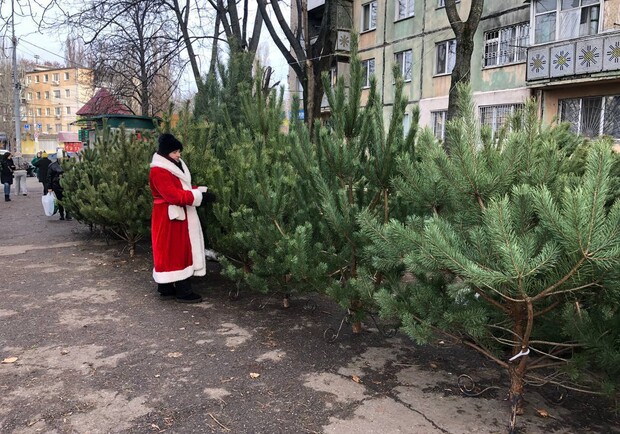 Адреси ялинкових базарів в Одесі у грудні 2024 року - Одеса Vgorode.ua
