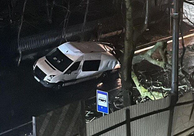 У Львові на автомобіль впало дерево - Львів Vgorode.ua