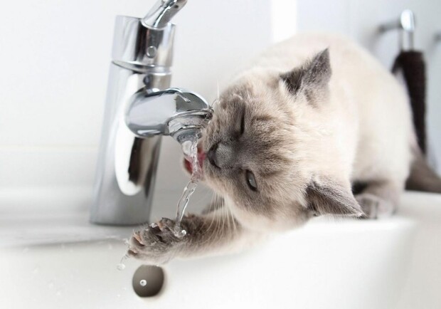 Де в Одесі відключили воду 18 грудня 2024 року (адреси) - Одеса Vgorode.ua