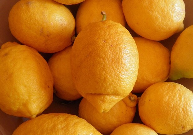 Продуктовые ярмарки в Киеве 18 – 19 января: адреса - Киев Vgorode.ua