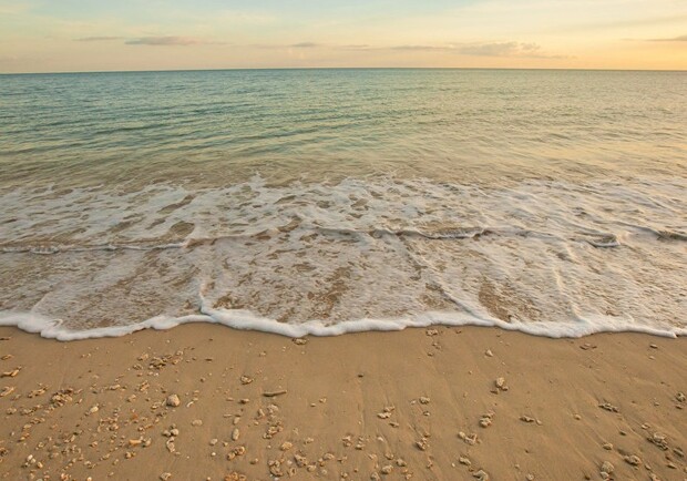 В ОВА рассказали о подготовке пляжей Одессы к купальному сезону - Одесса Vgorode.ua