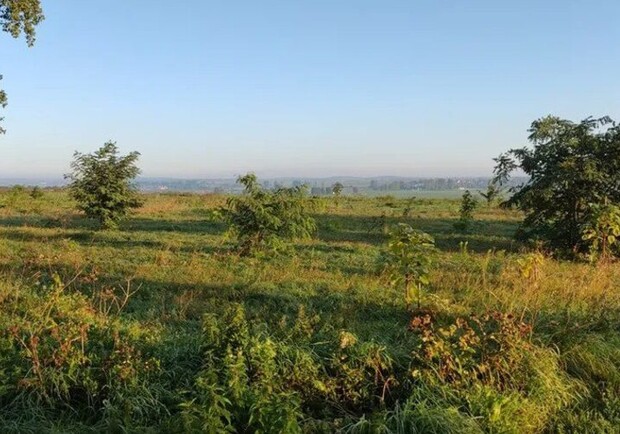 У Львівській громаді з аукціону продали 8 земельних ділянок - Львів Vgorode.ua