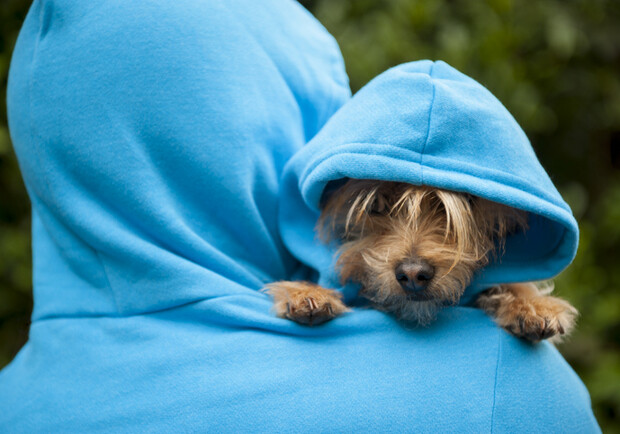 Погода 20 июня в Украине: похолодание, грозы и сильный ветер до 20 м/с - Одесса Vgorode.ua