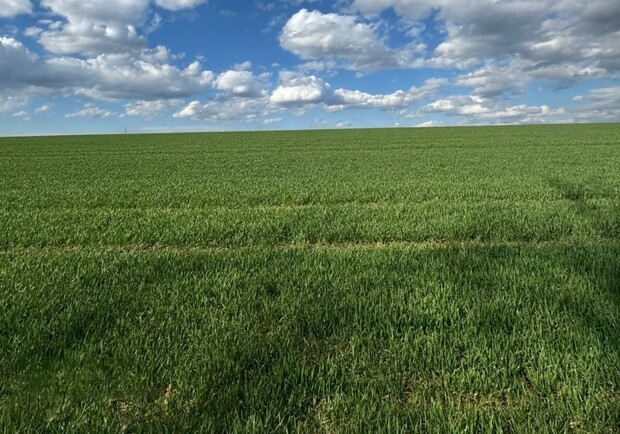 Теплицы снесли: под Харьковом 400 гектаров земли вернули государству - Харьков Vgorode.ua