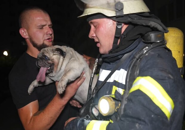 В Одеському районі 25 липня 2025 року під час пожежі врятували трьох собак - Одеса Vgorode.ua