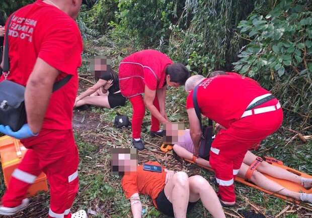 В Одеській області внаслідок падіння дерева загинув підліток - Одеса Vgorode.ua