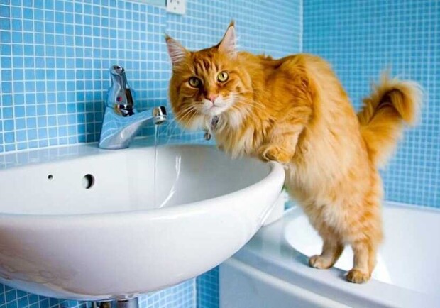 Где в Одессе 29 сентября 2025 года не будет воды (адреса) - Одесса Vgorode.ua