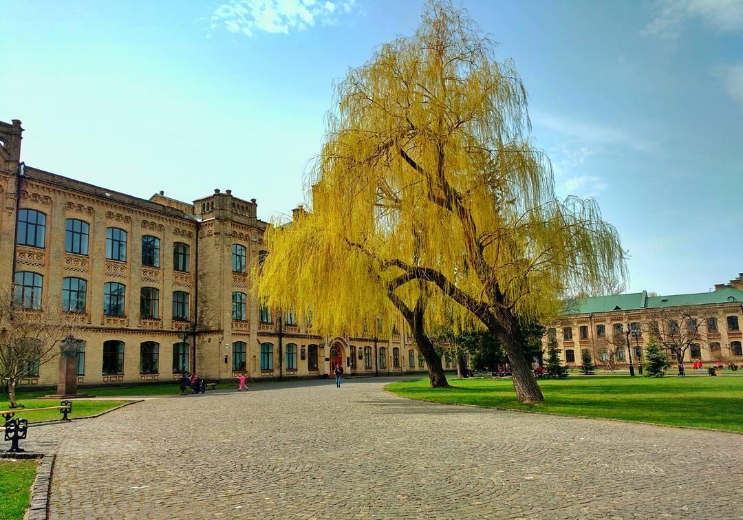 Куда пойти в Киеве на неделе 11-15 апреля - Киев Vgorode.ua