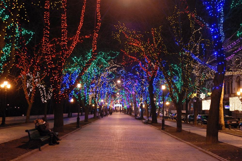 В Одессе на деревах появятся новогодние герлянды - Одесса Vgorode.ua
