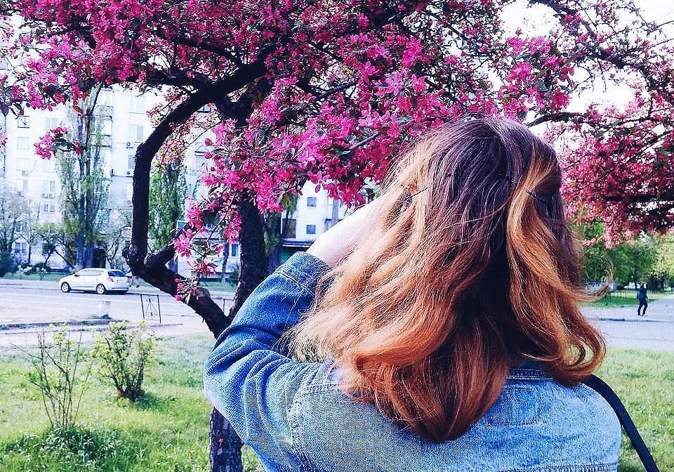 В парке Киото зацвели сакуры: фото - Киев Vgorode.ua