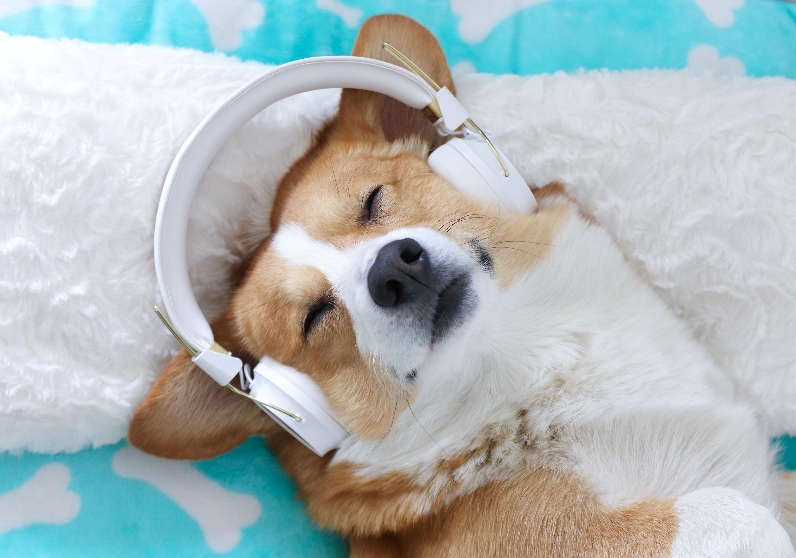 Какой сегодня праздник, курс валют и биткоина, погода, цены на бензин 7.05.2018 - Киев Vgorode.ua