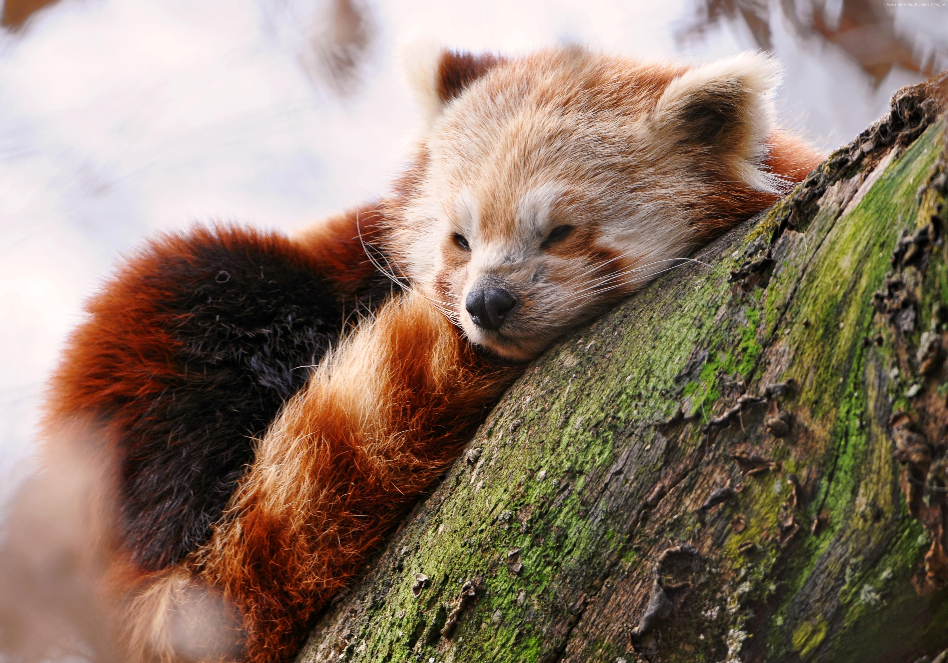 Какой сегодня праздник, курс валют и биткоина, погода, цены на бензин 23.05.2018 - Киев Vgorode.ua